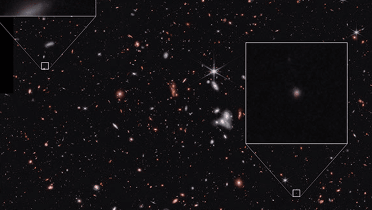 JWST Spots Distant Objects So Odd They Have Been Nicknamed "Platypus ...