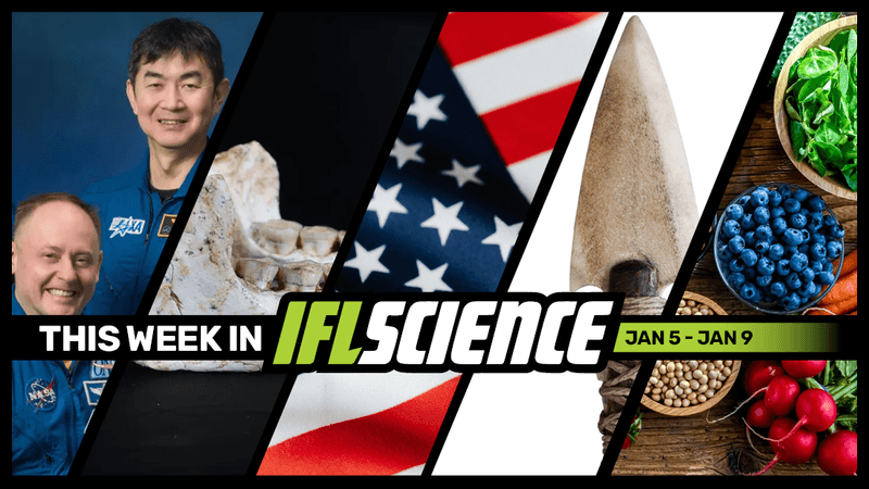 Charlie Haigh | IFLScience