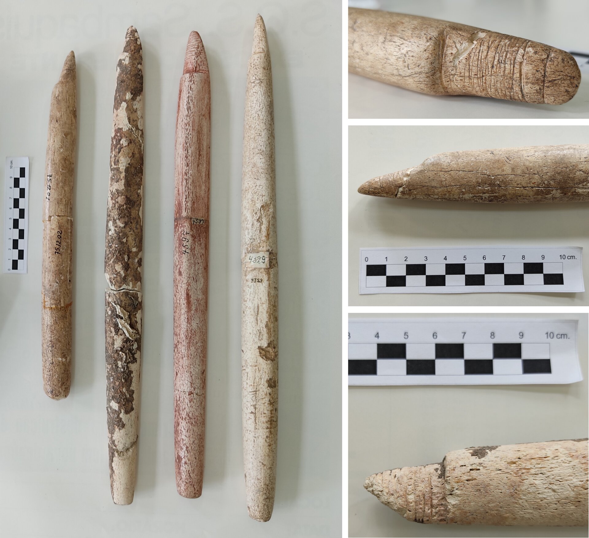 Humans Have Been Hunting Whales For At Least 5,000 Years, Over A ...