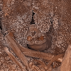 Radiation News, Articles | IFLScience