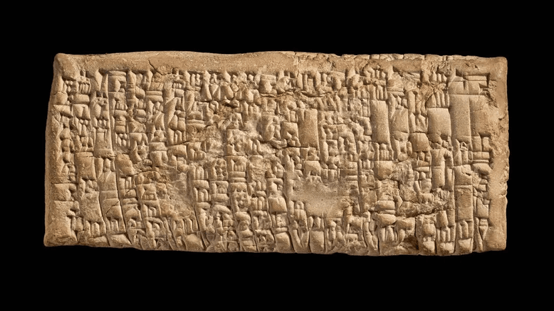 World-First As Entire Woolly Rhino Genome Recovered From Ice Age Wolf ...