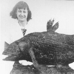 Panther chameleon News, Articles | IFLScience