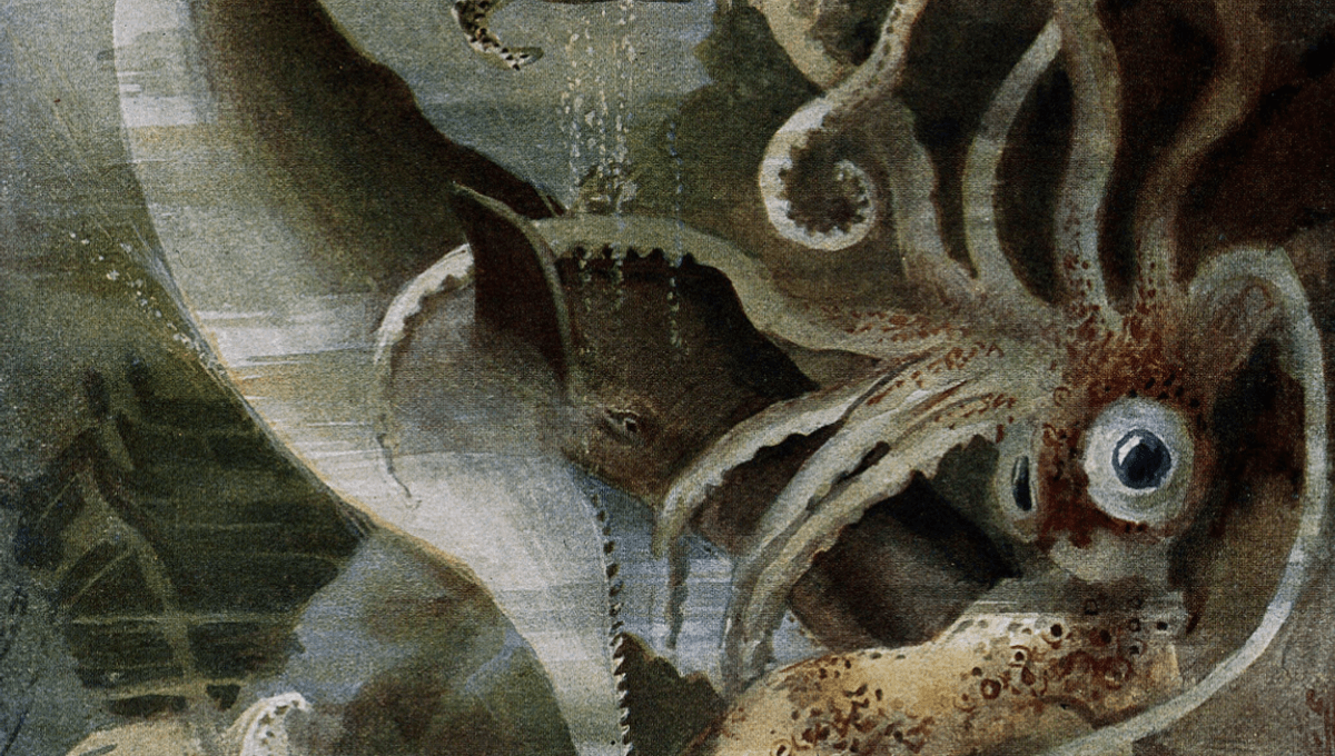 Whales Vs. Squid: An Evolutionary "Arms Race" Has Shaped Both Animals ...