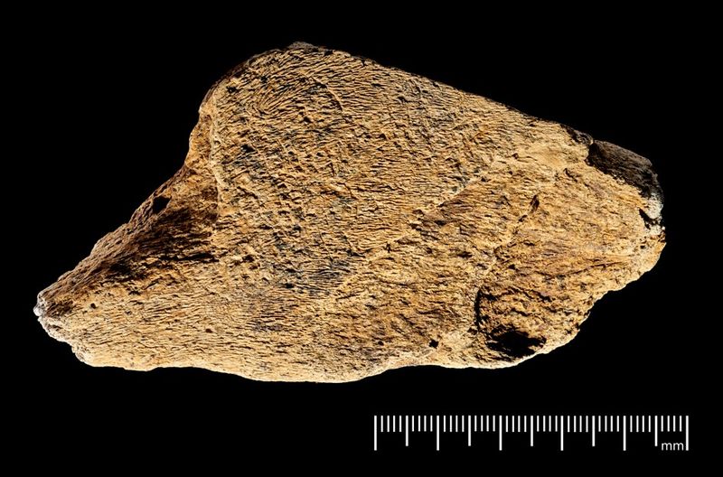 Spirit Cave Man: How The World’s Oldest Mummy Rewrote 10,000 Years Of ...