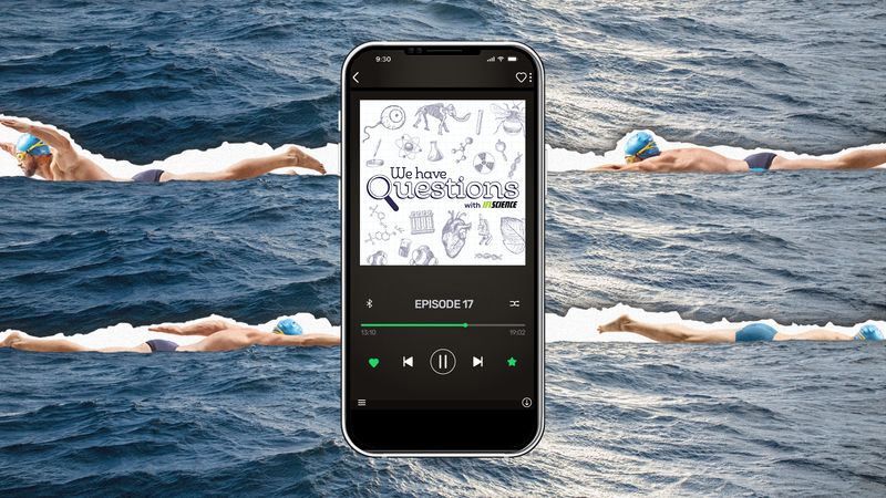 The Drug Dog So Good At Her Job The Cartel Put A $70,000 Bounty On Her ...