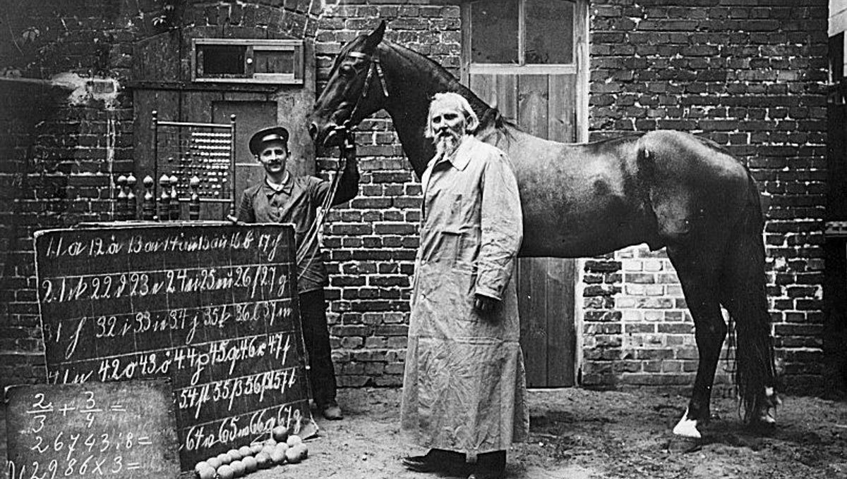In The 1900s, Scientists Thought "Clever Hans" The Horse Could Speak ...