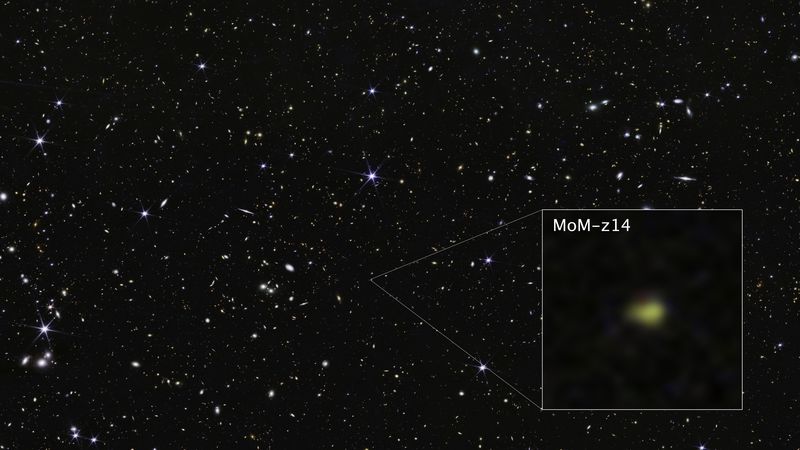 Cool Earth-Sized Candidate Planet HD 137010 B Might Be Remarkably ...