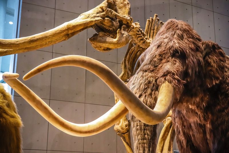 Skinwalker Ranch: Hoax Or A Hub Of Paranormal Activity? | IFLScience