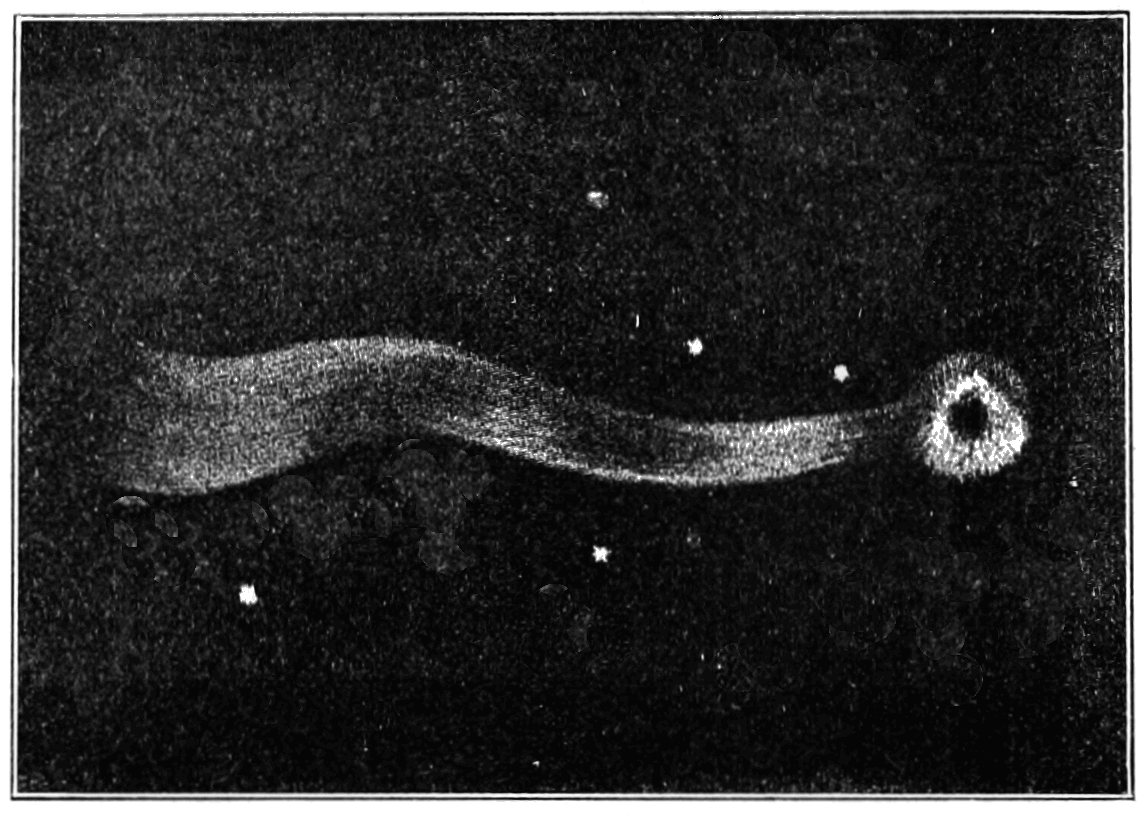 Did A Monk Understand Halley’s Comet Before Halley – And If So, Should ...