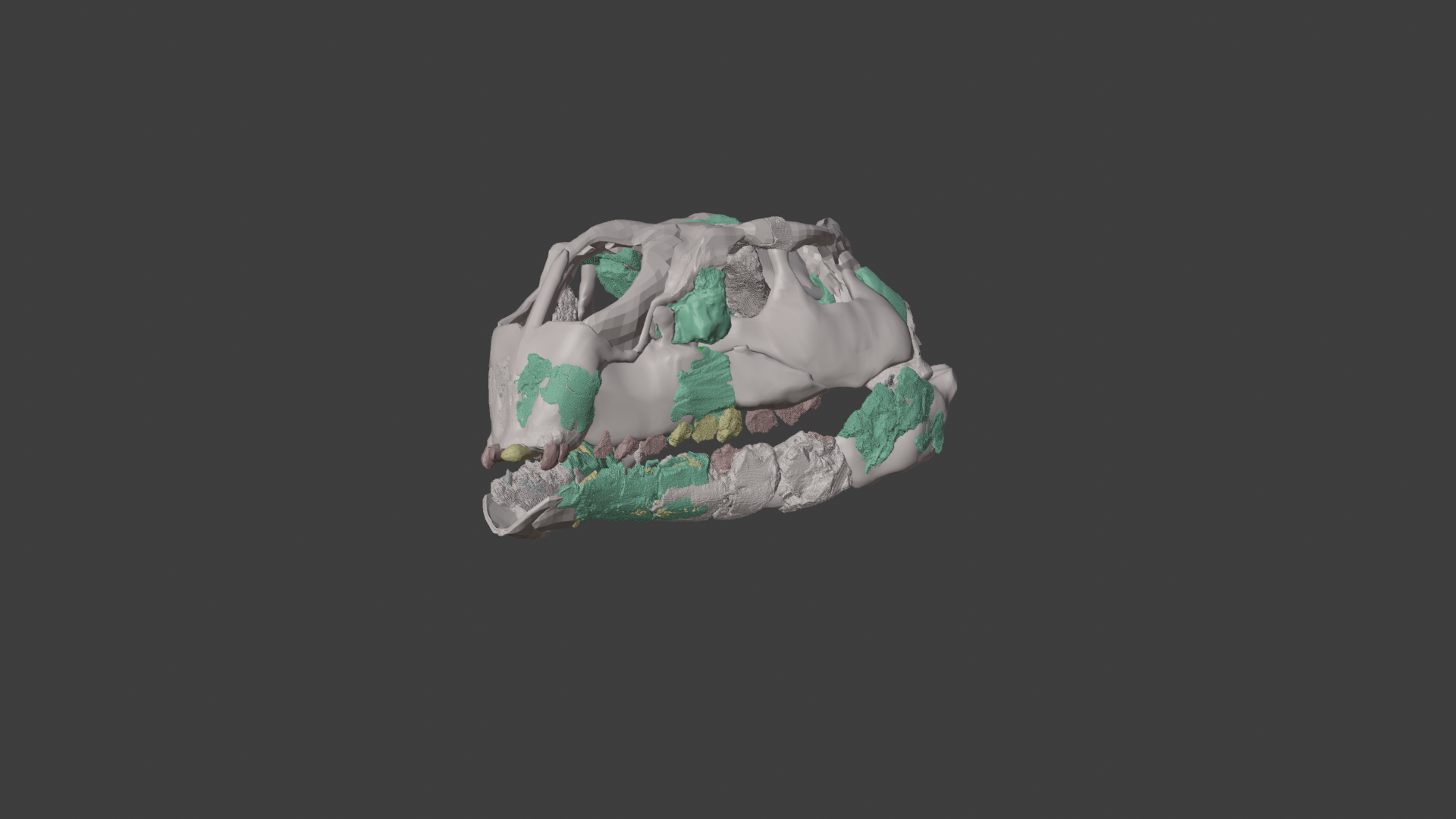 Newly Named Tiny Dinosaur Species From Early Cretaceous Fills 70 ...