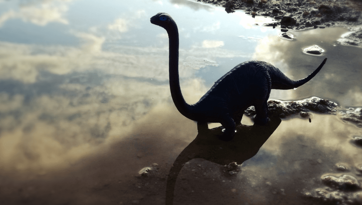 Mysterious 160-Million-Year-Old “Dinosaur Death Pits” Stumped ...