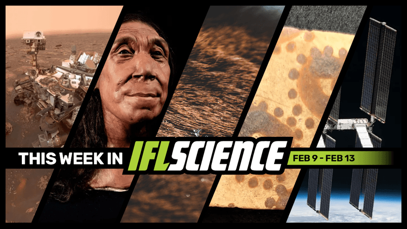 Spirit Cave Man: How The World’s Oldest Mummy Rewrote 10,000 Years Of ...