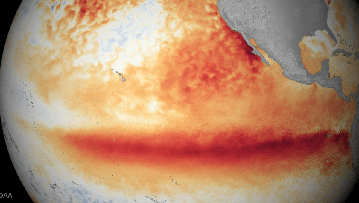 El Niño May Be Brewing, Set To Raise Global Temperatures For 2026 And ...