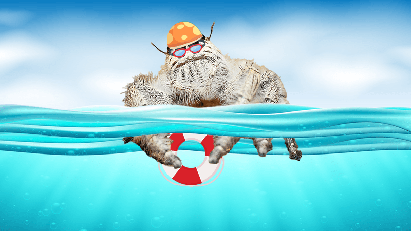 Are There Animals Without Natural Predators? Meet Earth’s Apex ...