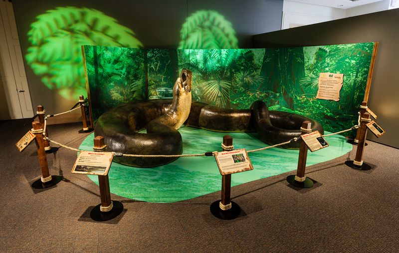 Congo Snake: The Legend Of A 15-Meter Reptile, Cryptozoology's Most ...