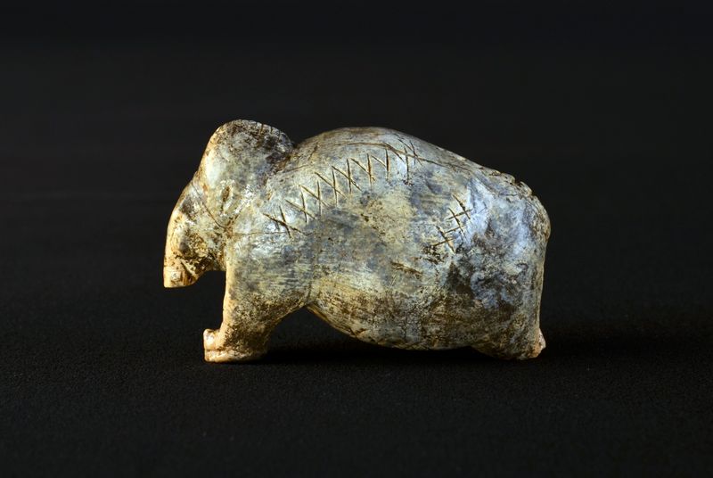 What Were Tooth Worms? The Strangely Widespread Belief That Pain And ...
