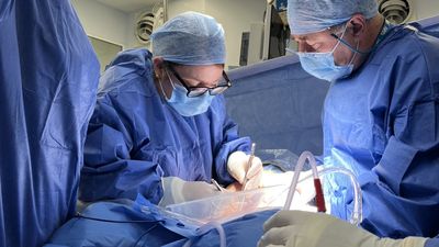 Fertility Milestone As First-Ever UK Baby Born After Womb Transplant ...