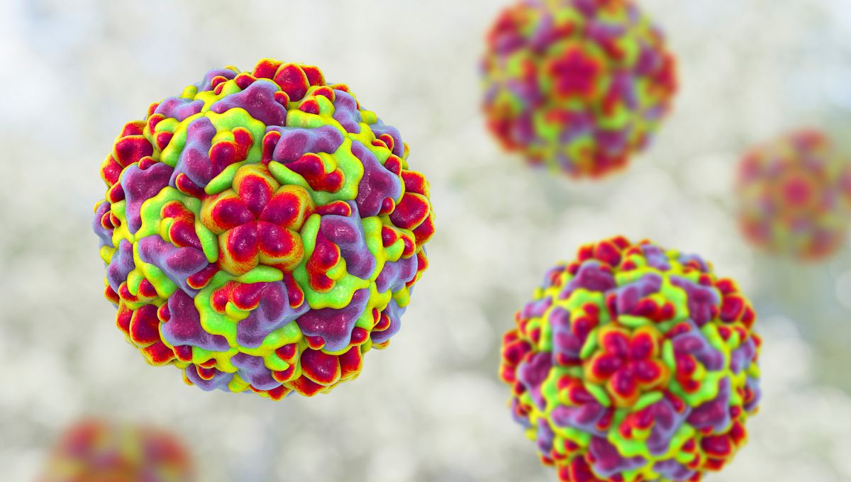 250-Year-Old Cold Virus Genome Reconstructed From Tissues Held In ...