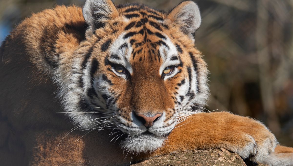 Over 37,000 Trees Were Planted In Kazakhstan Last Year To Support The ...