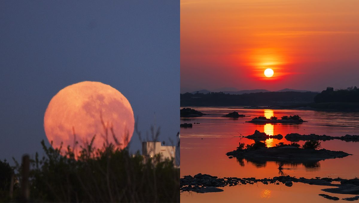 Some Lucky People Will See A "Selenelion" Tomorrow – A Rare Celestial ...