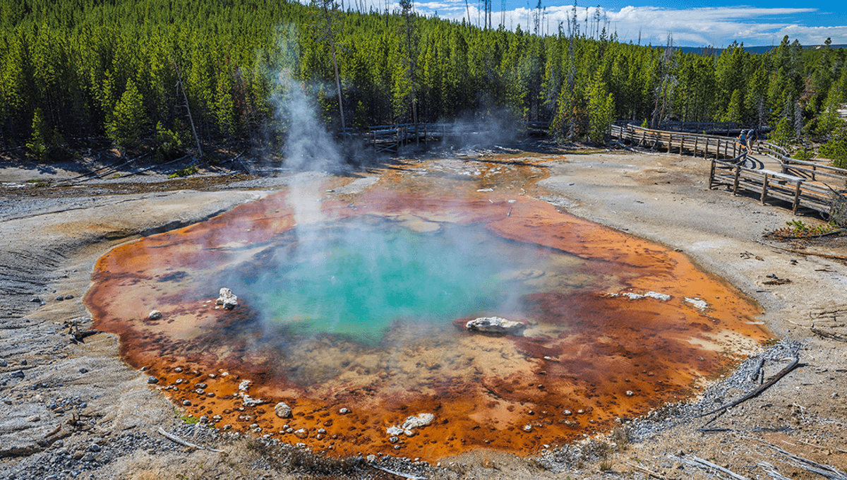 Echinus Geyser Erupts: World's Largest Acidic Geyser Puts On Show At ...