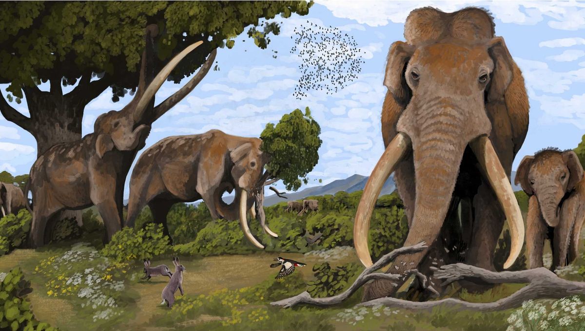 Neanderthals Ran A Giant "Fat Factory" – And They Knew Exactly Where to ...