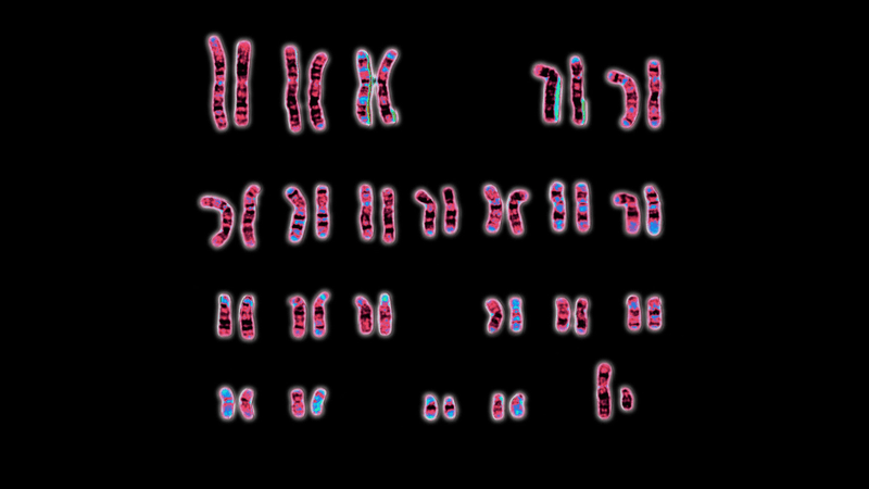 One Snake Or Two – Which Is The True Symbol For Medicine? | IFLScience