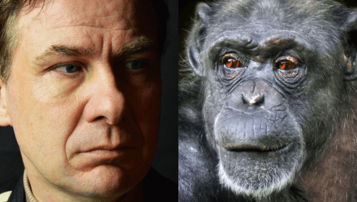 The Whites Of Our Eyes: Why Do Humans Have White Sclerae? They Give Us ...