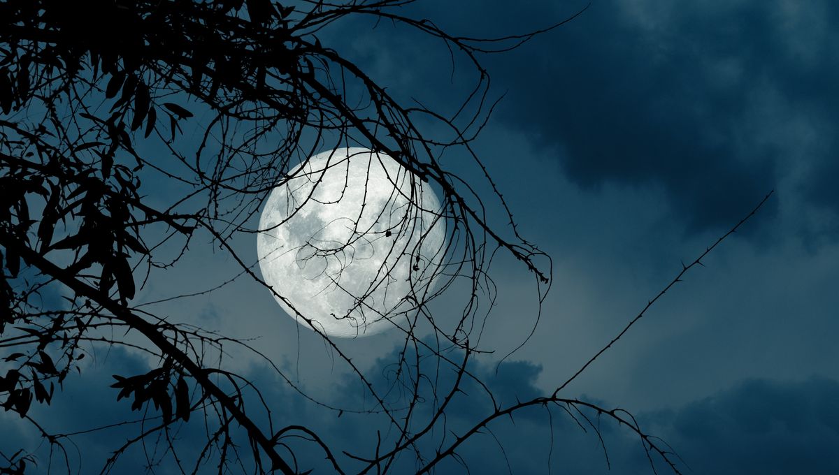 This Month Will See The First Of A Slew Of Blue Moons – So How Rare Are ...