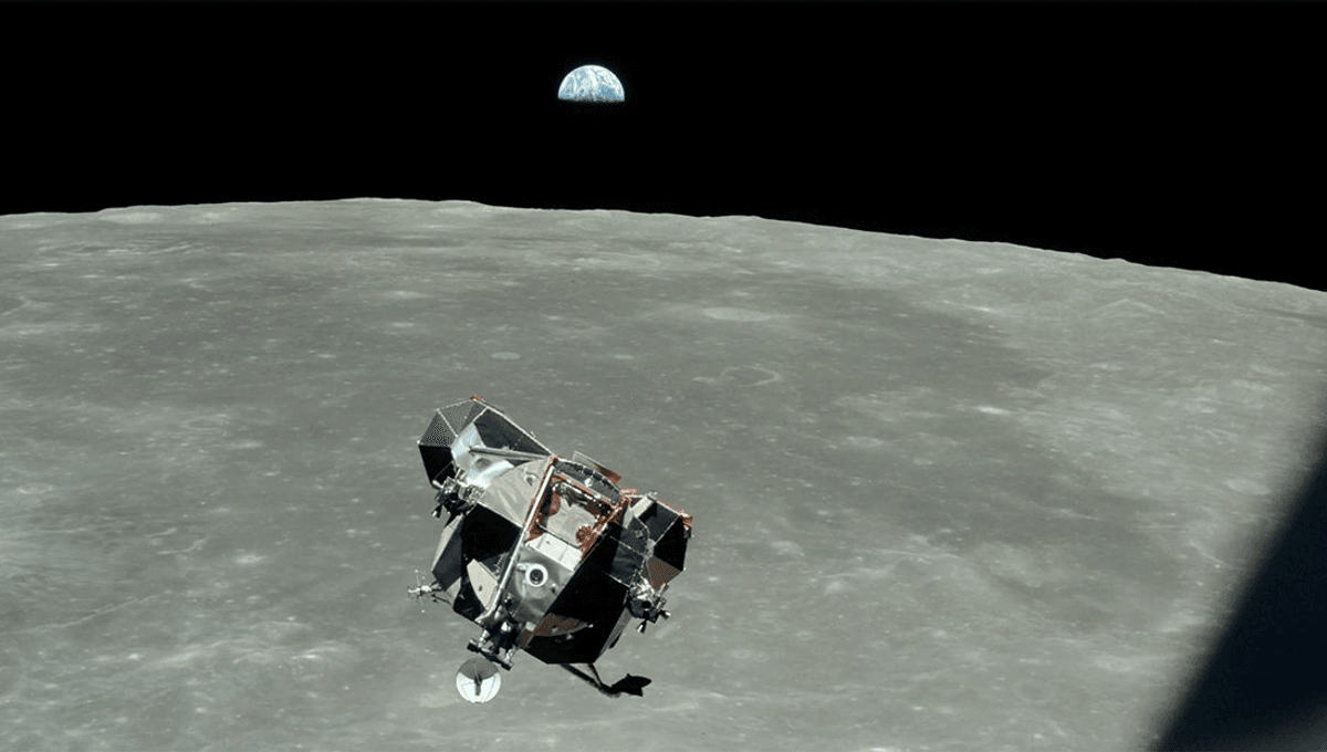 Why Scientists Fed Cockroaches And Shrimp Moon Dust Shortly After ...