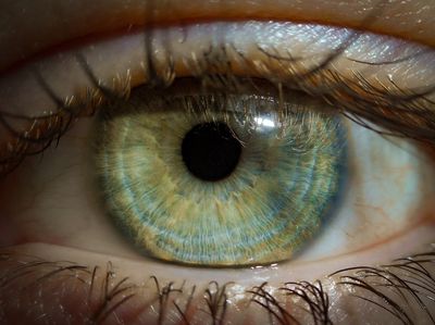 What's The Rarest Eye Color? It's Green – And Here's Why | IFLScience