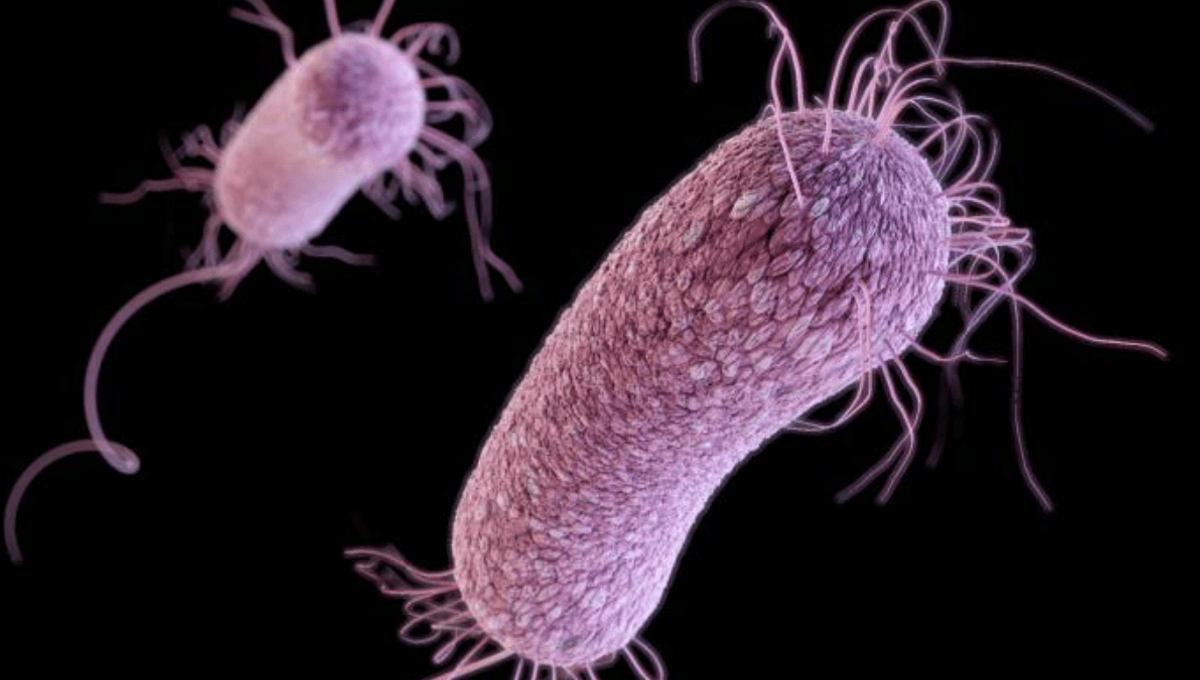 Frozen Microbes From The Distant Past Threaten To Wake Up, Ready To ...