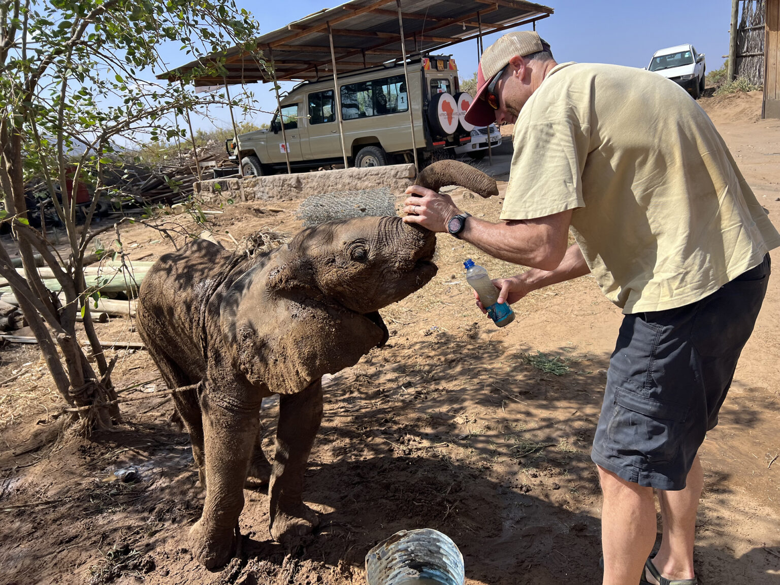 Watch the Heartwarming Moment A Baby Elephant Finds Her Herd In Kenya ...
