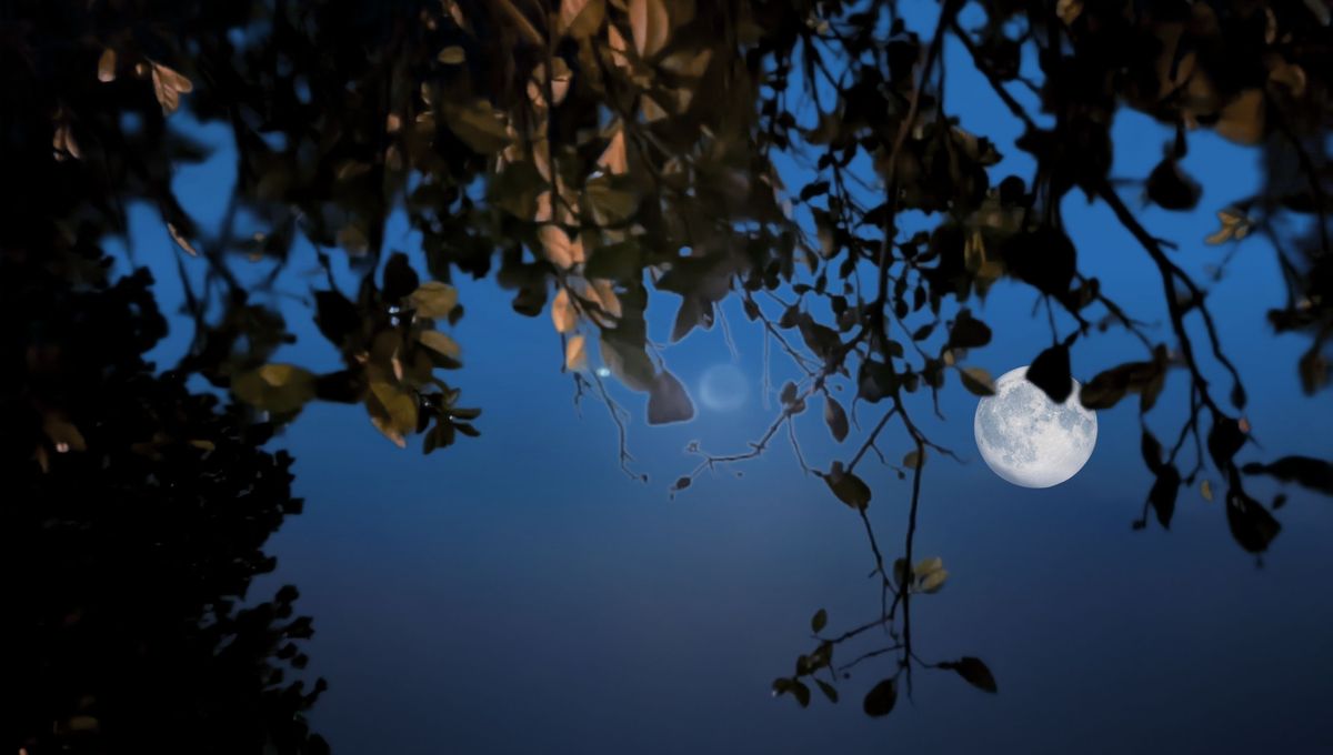 On May 31, 2026, Earth Will Have A Blue Micromoon: Here's What That ...