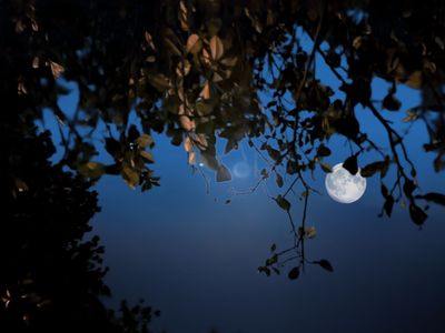 On May 31, 2026, Earth Will Have A Blue Micromoon: Here's What That ...