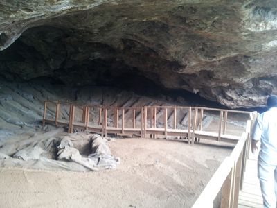 200,000-Year-Old Grass Bedding Found In Border Cave Reveals How Ancient ...