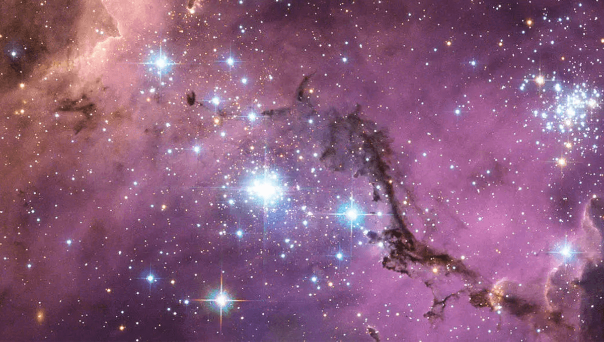 Astronomers Detected A One-Hour Brightening Of A Star In The Large ...