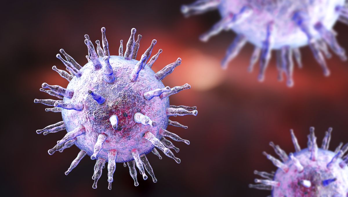 Neanderthal DNA Might Make Modern Humans More Vulnerable To DNA Viruses ...