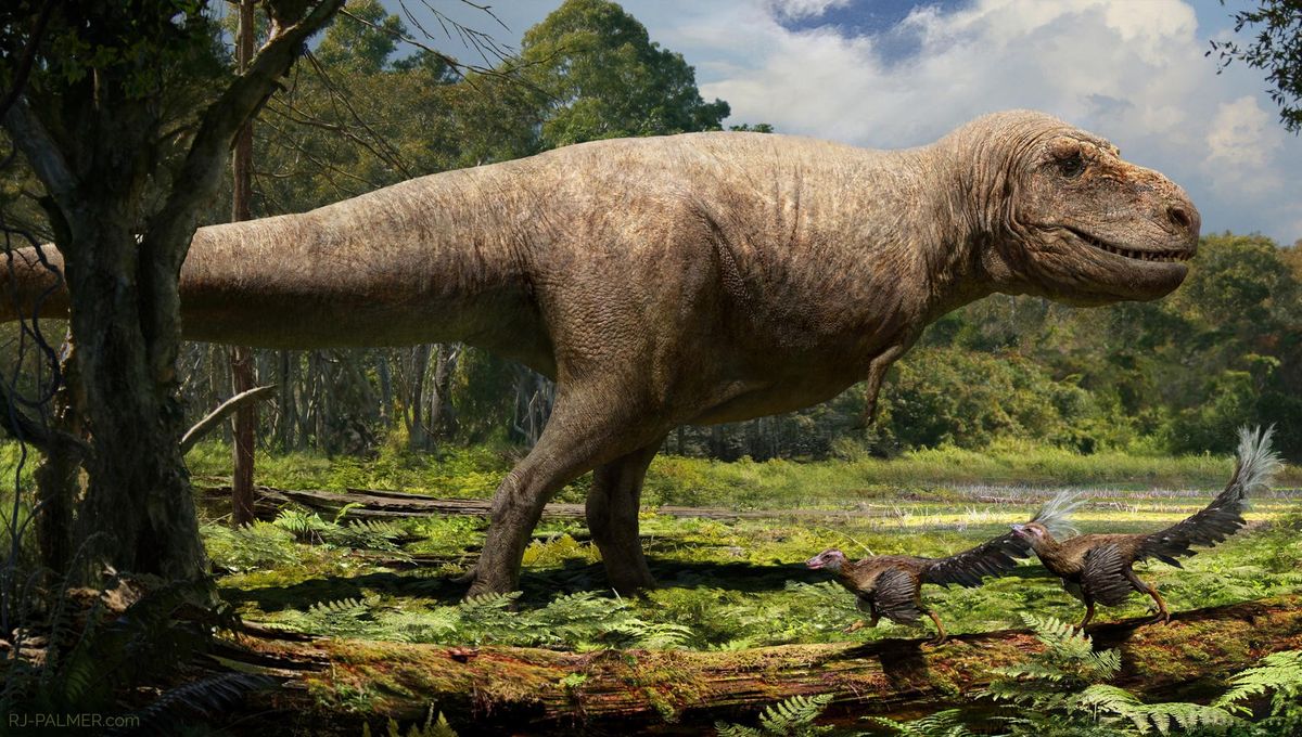 T. Rex Had Weirdly Tiny Arms – Now We Have The Best Explanation Yet For ...