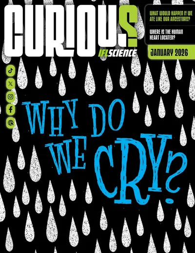 Curious Magazine | IFLScience